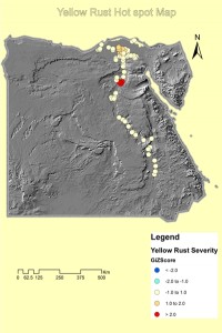 Egypt Yellow Rust Risk Maps | RustTracker.org
