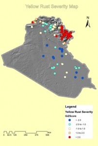 Iraq Yellow Rust Risk Maps | RustTracker.org
