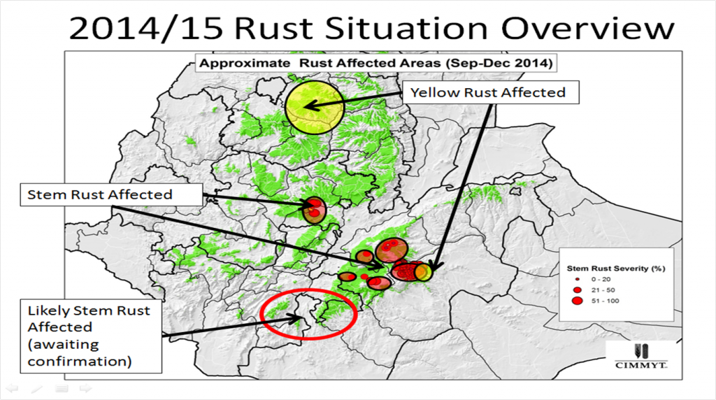 Ethiopia | RustTracker.org