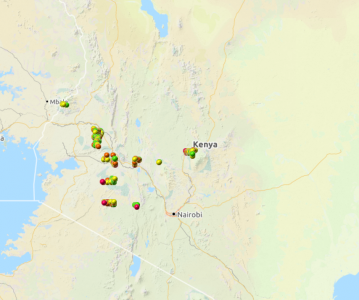 Yellow Rust | RustTracker.org