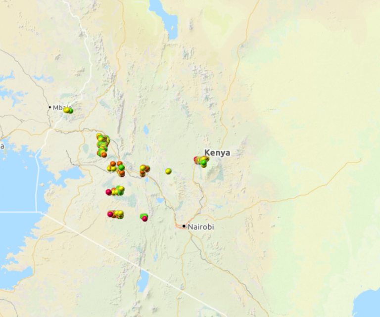 Yellow Rust | RustTracker.org